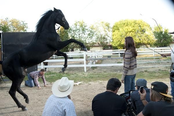 Flicka 3 - film familijny