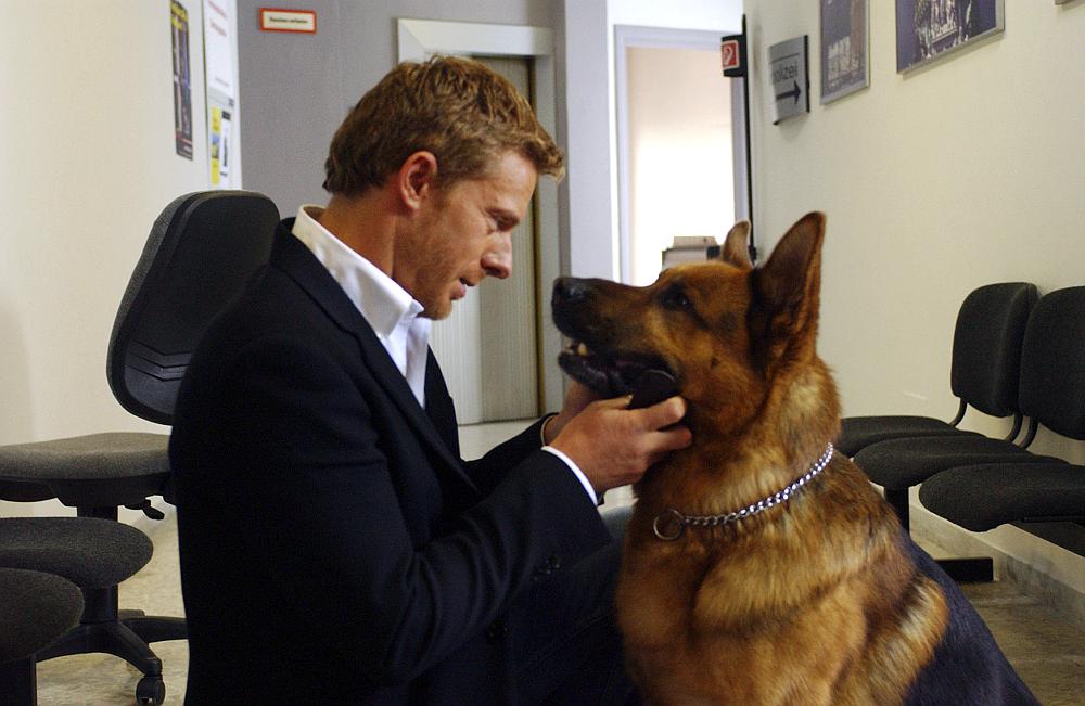 Komisarz Rex (8) - serial kryminalny