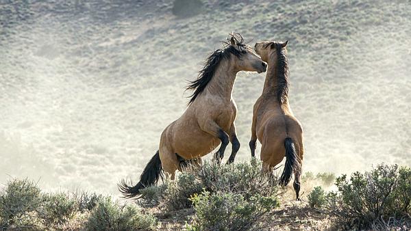 Planeta Ziemia 2 (2) - serial dokumentalny