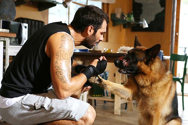 Komisarz Rex (7) - serial kryminalny